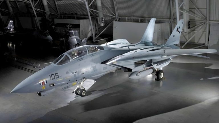 The F-14 Tomcat Fighter Has a Statement for the U.S. Navy - National ...