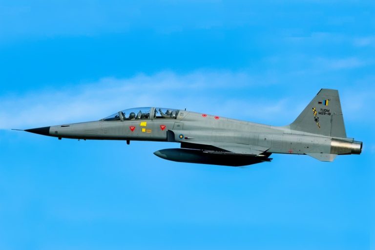 F-5 Tiger II Fighter: Simplicity Made It the 'Hot Rod' Of Its Time ...